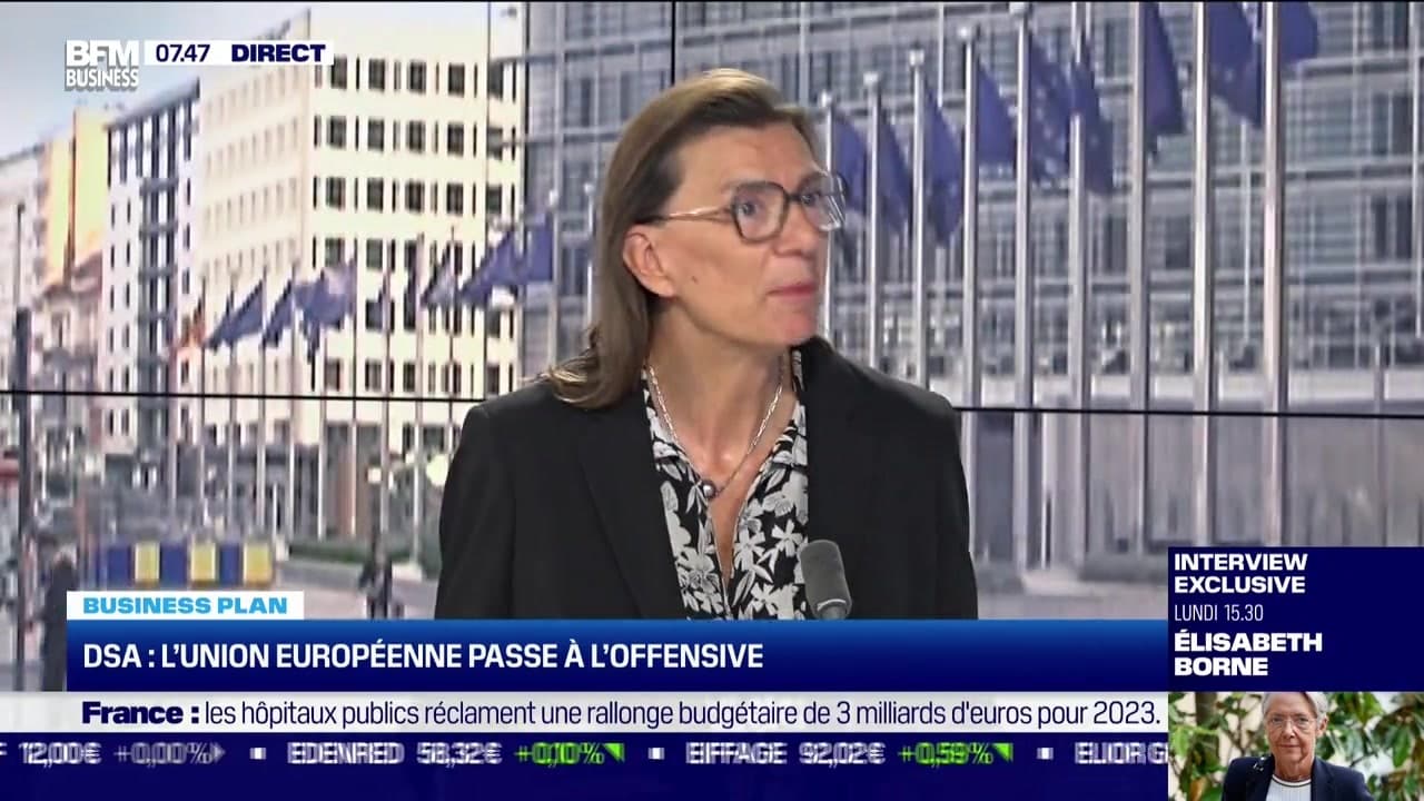 Véronique Reille-Soult (Backbone Consulting) : DSA, l'Union européenne ...