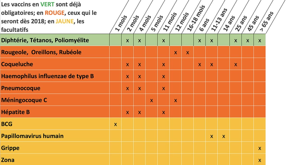 INFOGRAPHIE - Le nouveau calendrier 2018 des vaccins