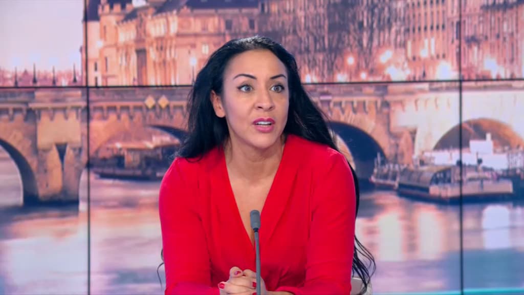 Affaire Zecler: son avocate reproche à Darmanin de ne pas avoir eu de "pensée" pour son client