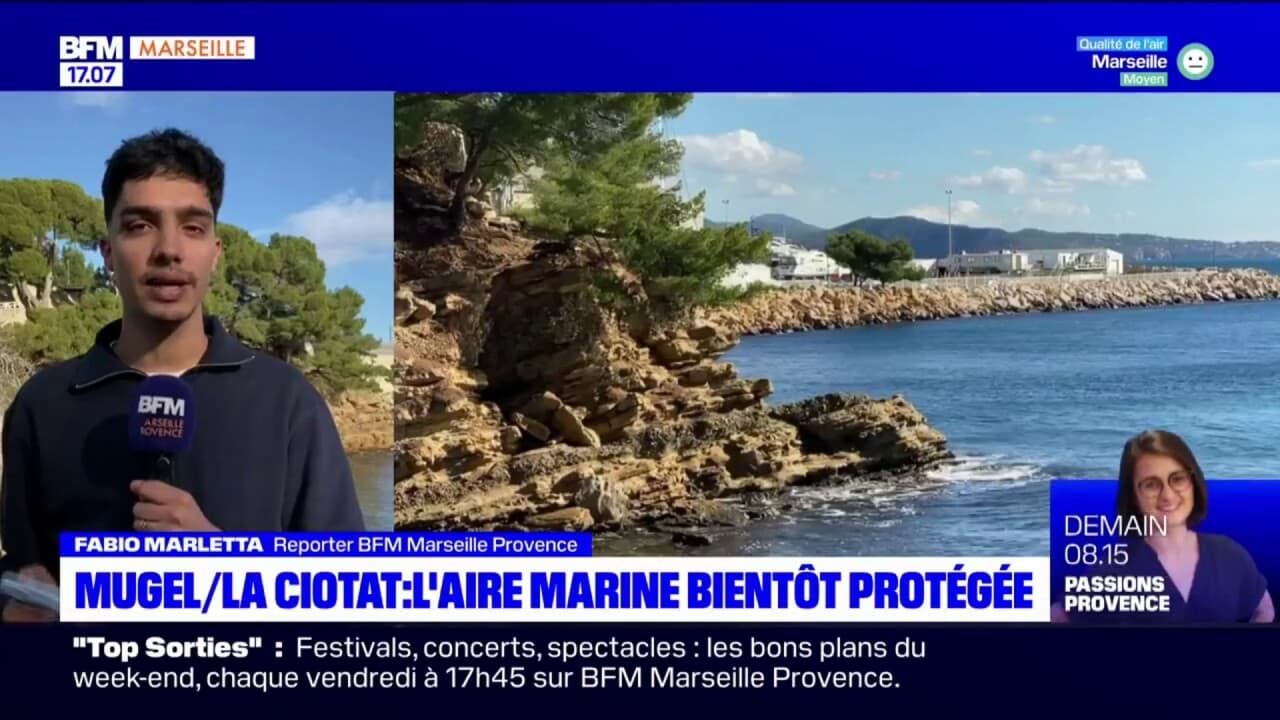 Mugel/La Ciotat : une nouvelle réserve marine va voir le jour