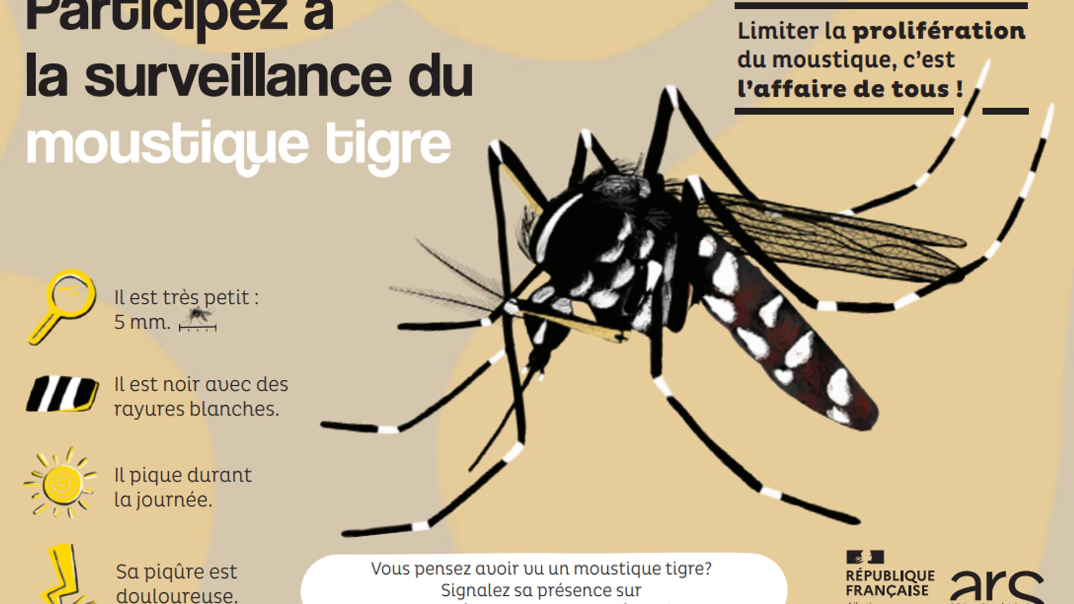Démangeaisons, bouton douloureux: comment reconnaître la piqûre du moustique tigre