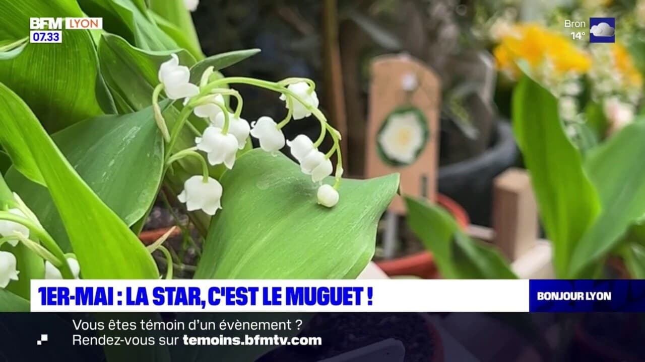 1er-Mai: le muguet, star de la journée