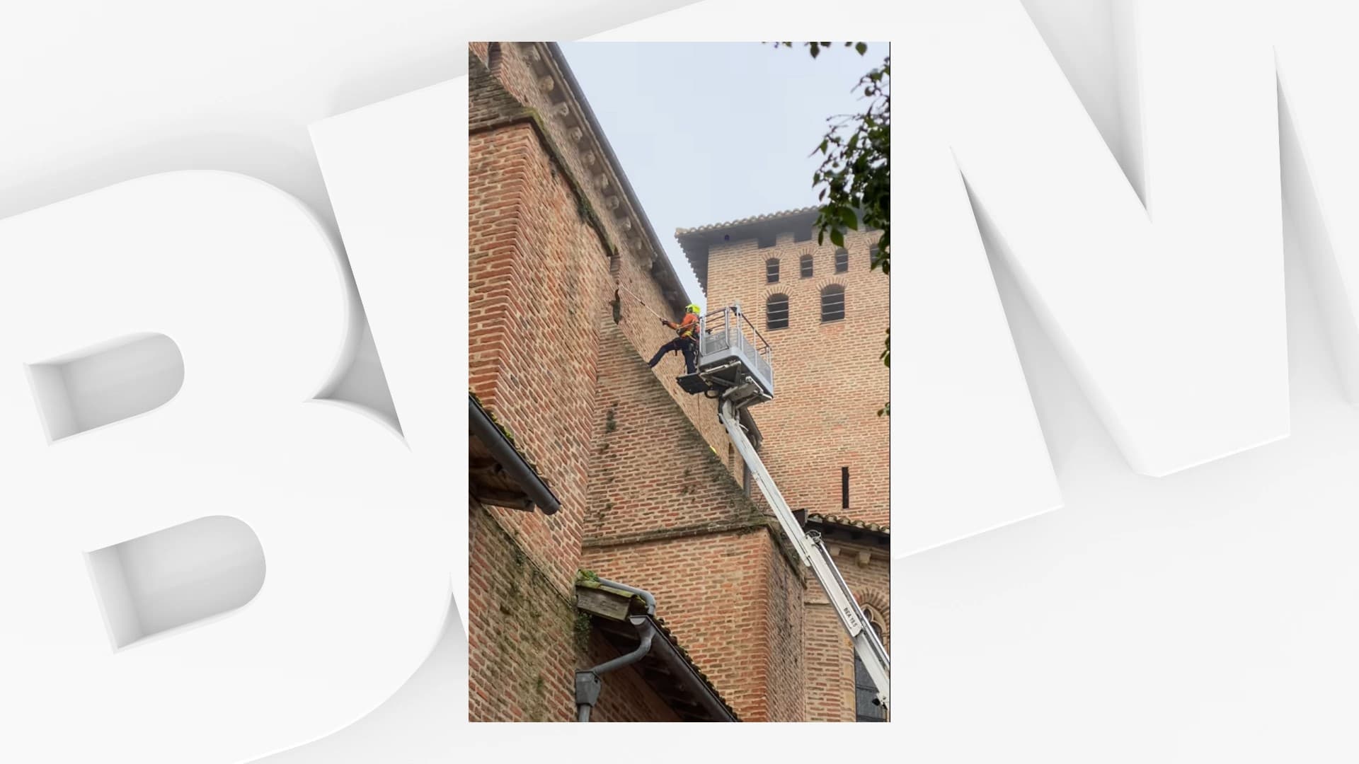 "Il est vivant!": l'incroyable saut d'un chat coincé sur le toit d'une ...