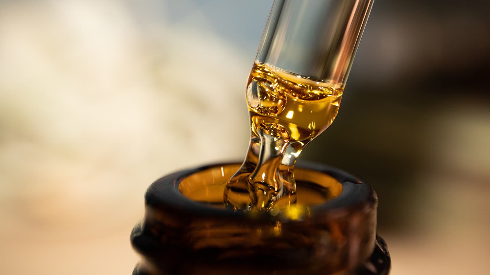 Lord of CBD : Le CBD, un marché en pleine floraison