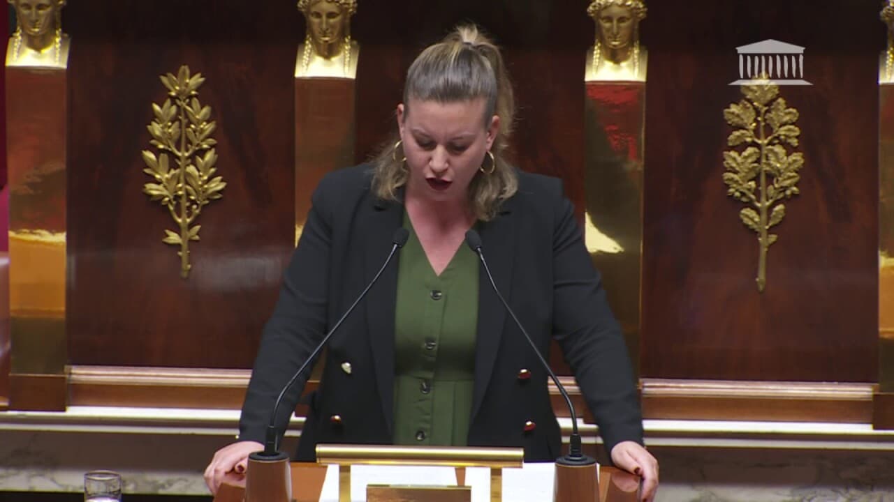 Loi Immigration: "La France ne peut pas se reconnaître dans ce texte ...