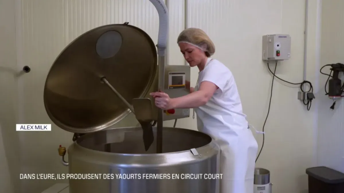 "La Normandie se découvre" : Découvrez Alex and Milk, marque de yaourt ...