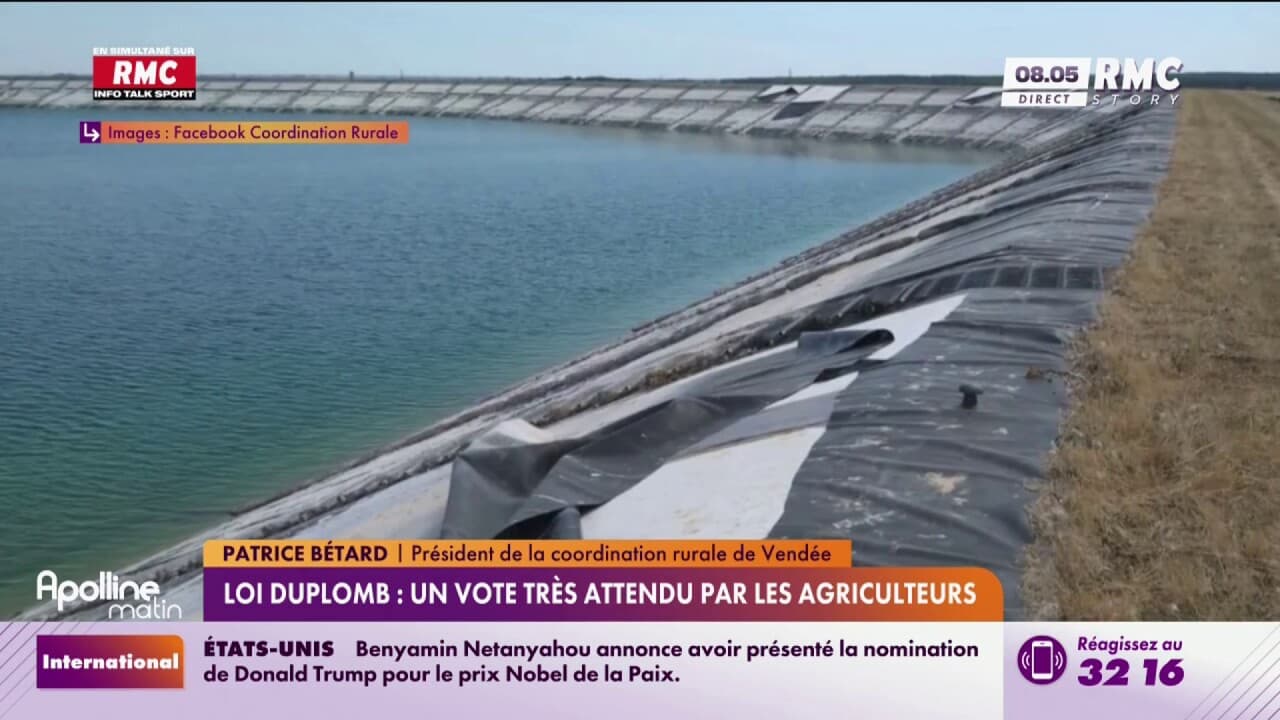Loi Duplomb/Bassines vandalisées: "Je suis indigné. Ces gens-là sont ...