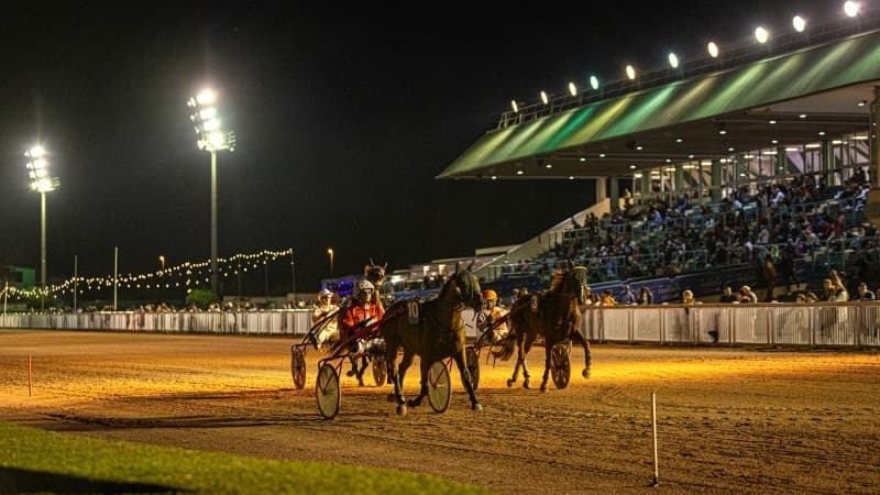 Les Pronos Hippiques Du Vendredi 26 Juillet 2024