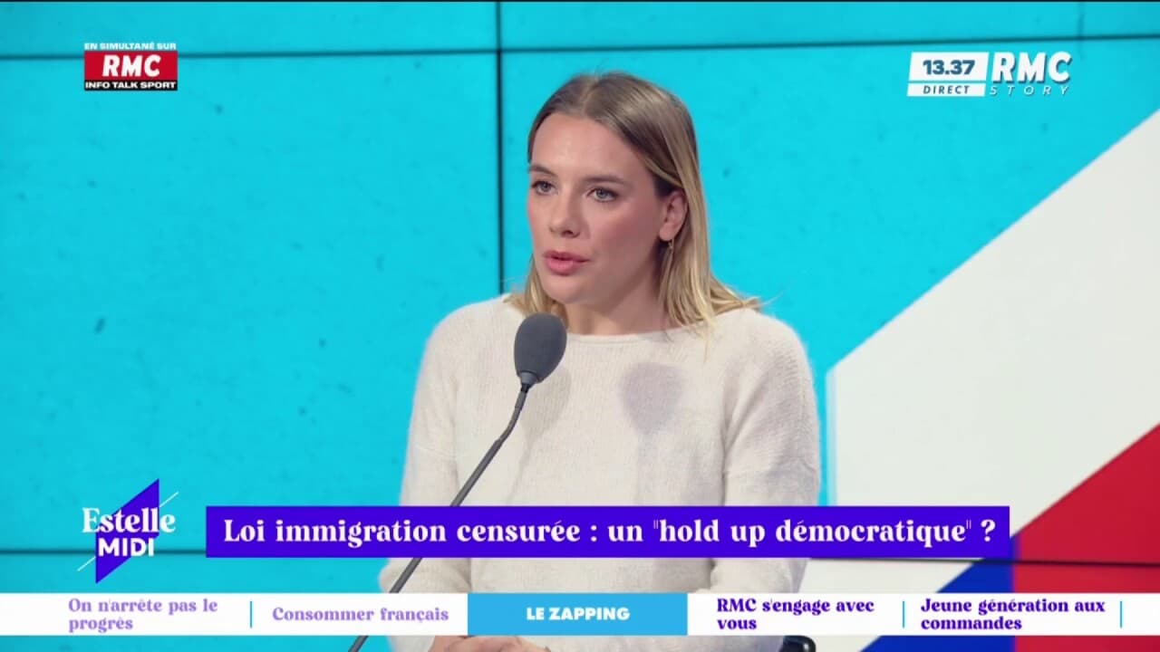 Loi immigration censurée: l'opposition "ne respecte pas la Constitution ...