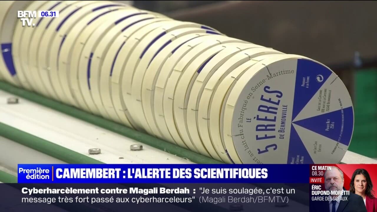 Les scientifiques tirent la sonnette d'alarme sur la production de ...