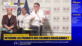 Israël: Olivier Faure défend une proposition de loi transpartisane pour ...