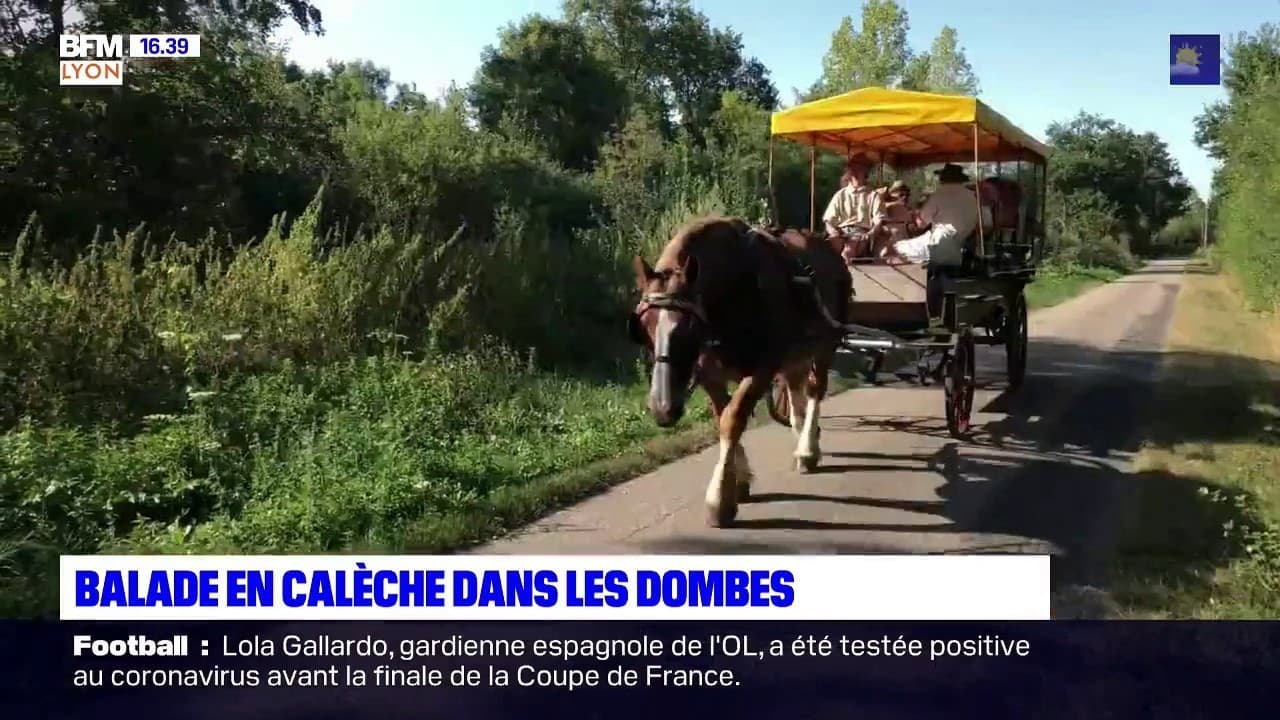 Sorties insolites à Lyon et dans sa région: une balade en calèche dans ...