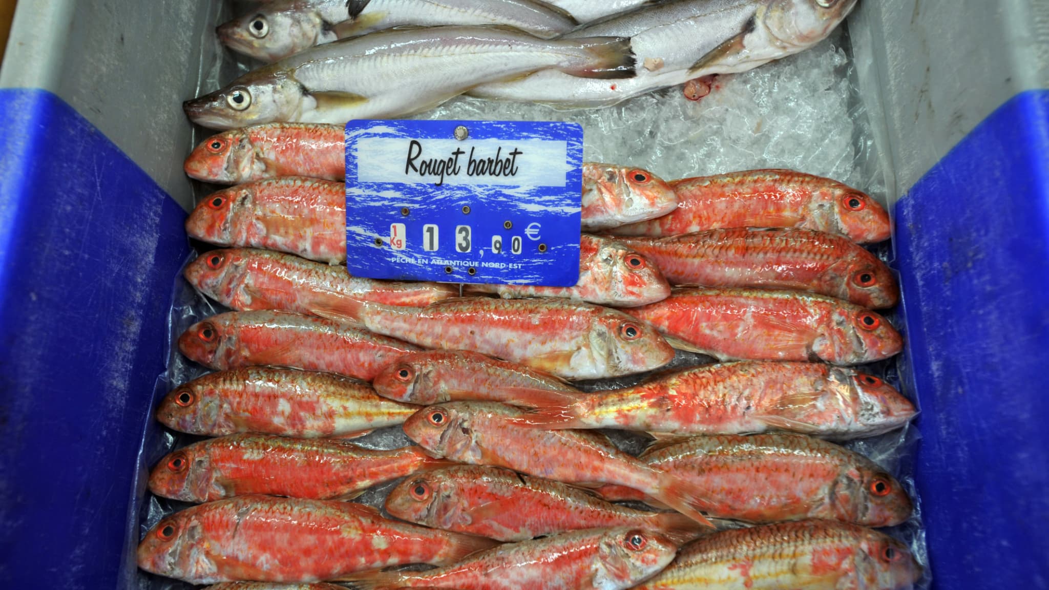 Label Rouge, Bio, IGP, AOP... À quels labels se fier quand on achète du ...