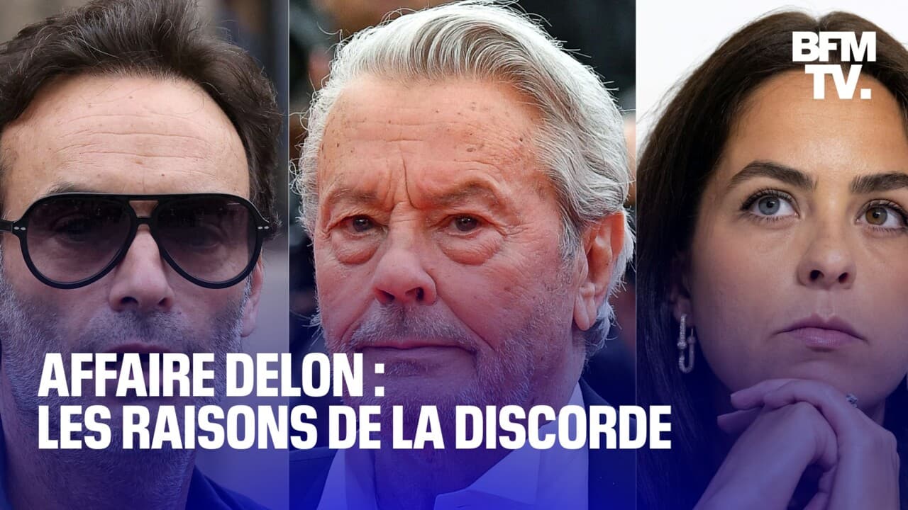 Quest Ce Qui Divise La Famille Delon