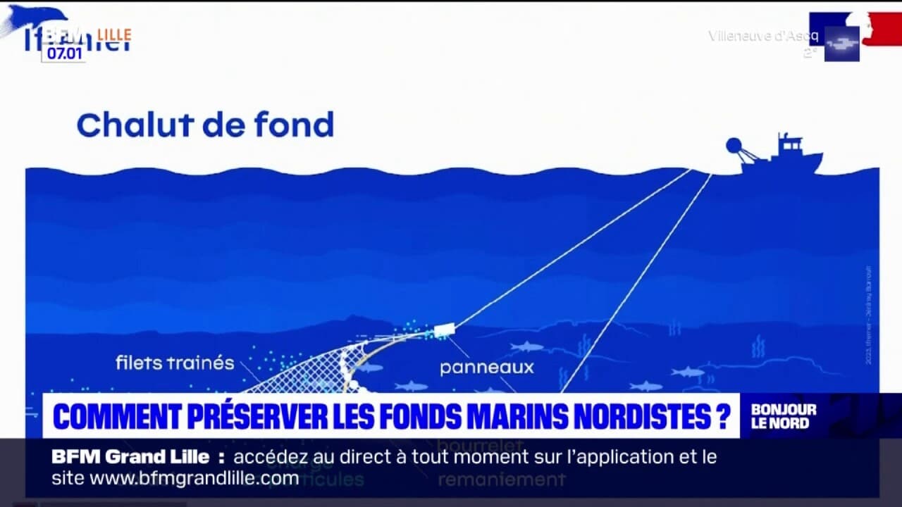 Nord: comment préserver les fonds marins?