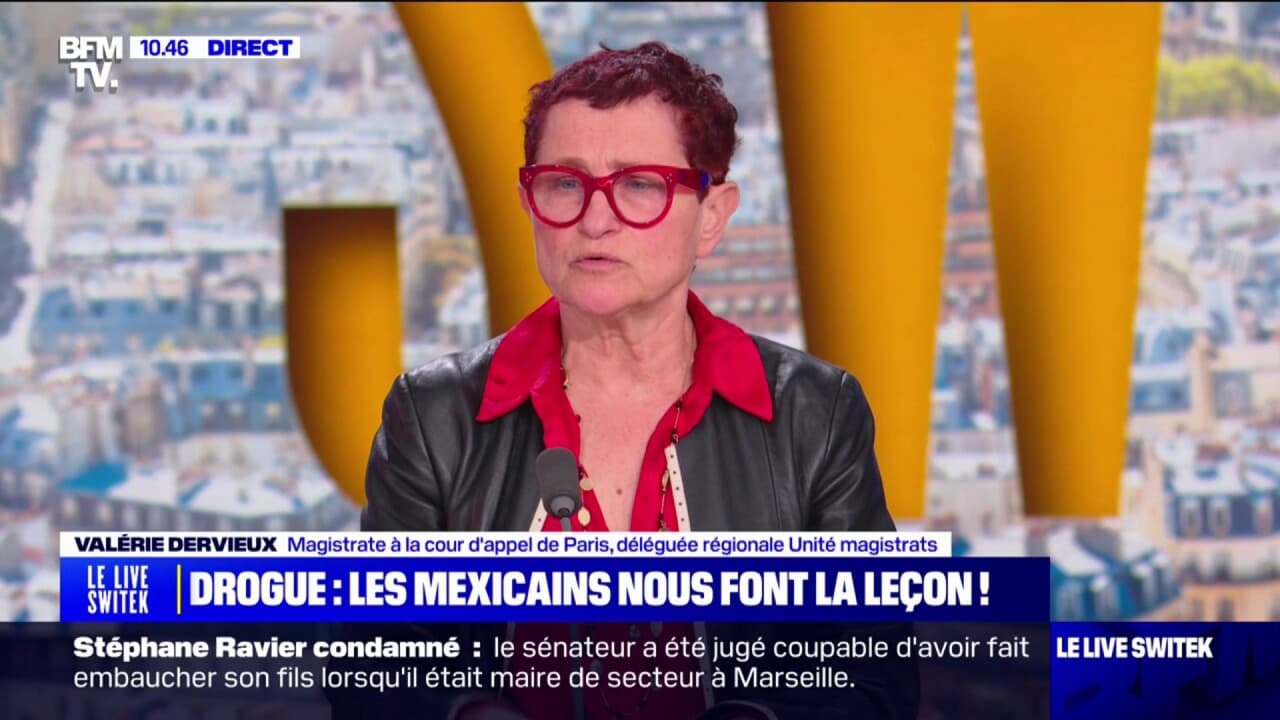 Valérie Dervieux, magistrate de la cour d'appel de Paris et déléguée ...