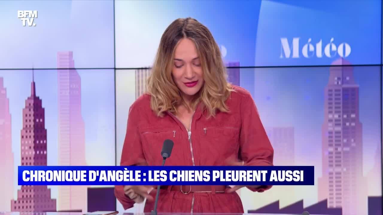 Le choix d’Angèle : Les chiens pleurent aussi - 24/08