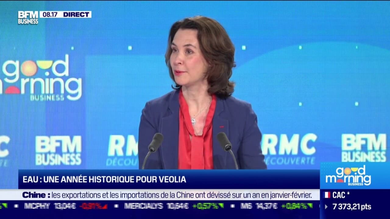 Eau: une année historique pour Veolia