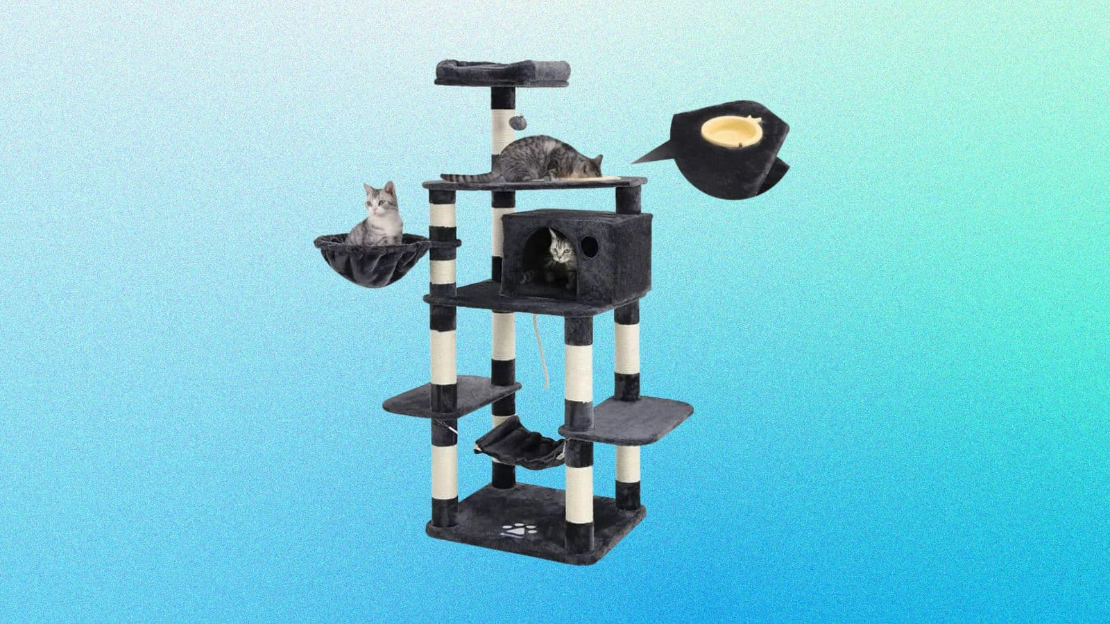 Le prix de cet arbre à chat s'effondre pour le plus grand plaisir de ...