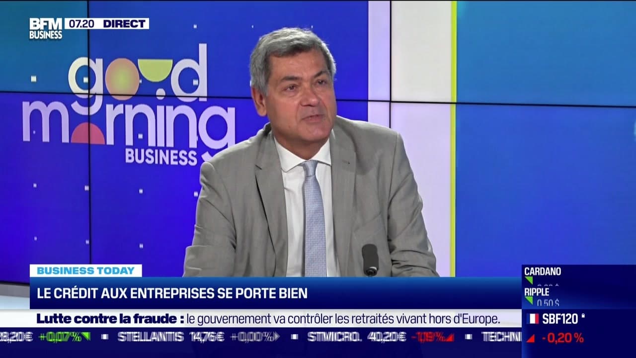 Frédéric Visnovsky (Banque de France) : Le crédit aux entreprises se ...