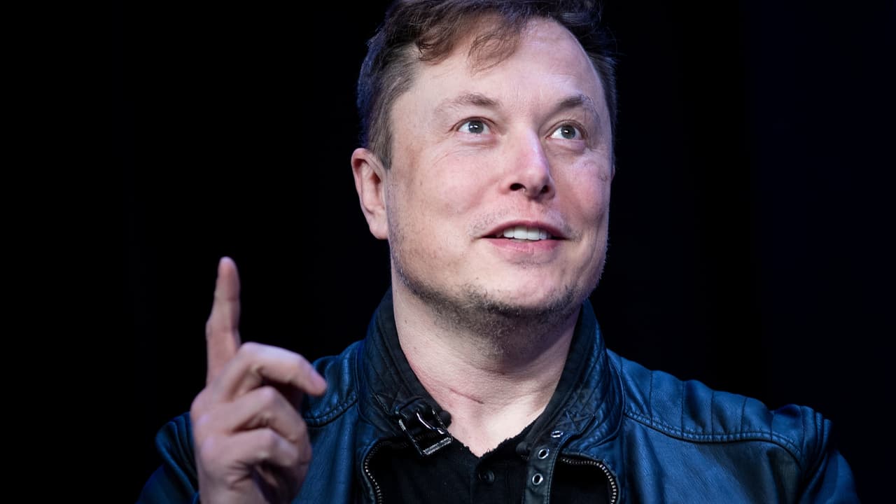 La puce connectée d'Elon Musk implantée dans le cerveau d'un cochon