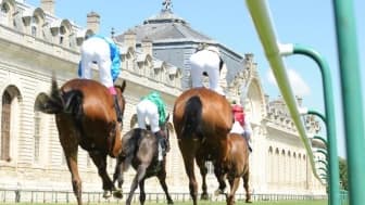 Les Pronos Hippiques Du Jeudi 18 Avril 2024