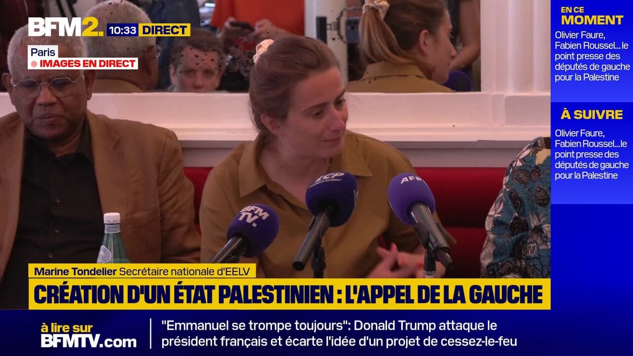 Gaza: "Oui, un génocide est en cours en Israël (...) mais il y a aussi ...