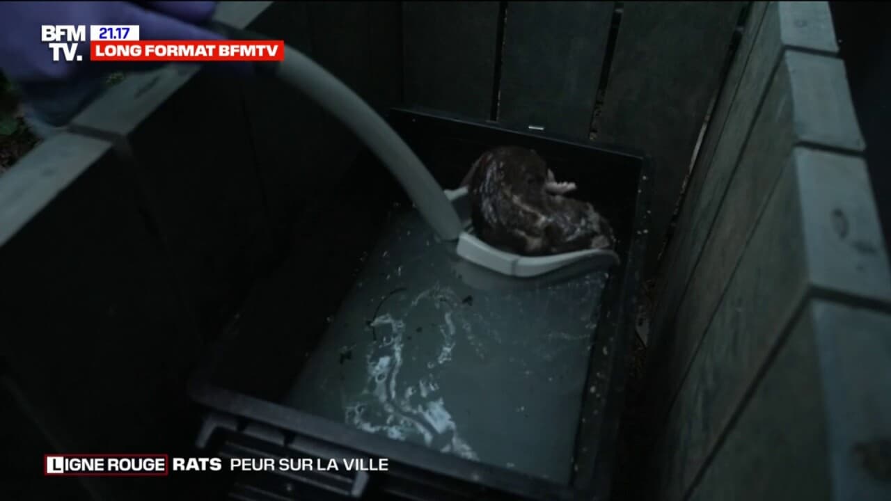 LIGNE ROUGE - "Il y a des capteurs qui permettent de savoir combien de ...