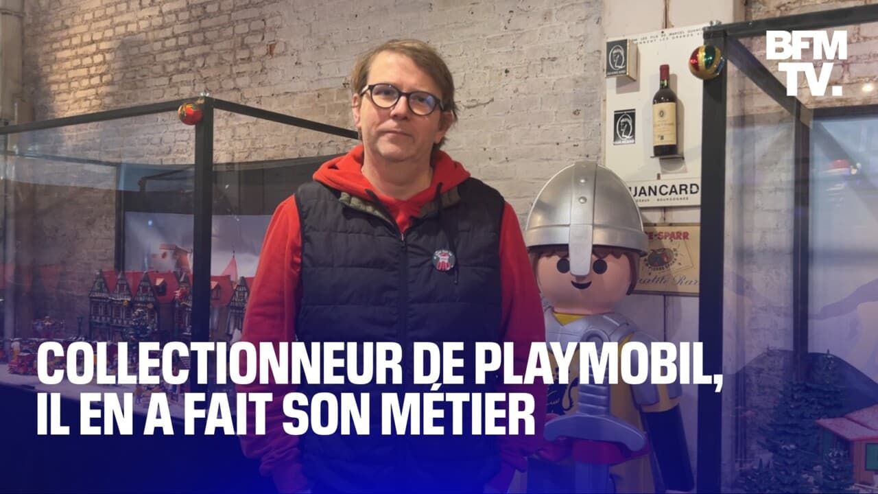 "Tous les jours, je fais au moins un achat en Playmobil": Dominique ...