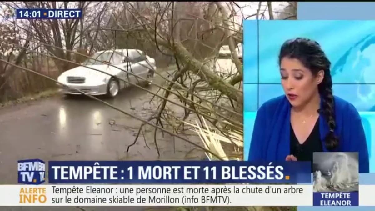 Tempête Eleanor: une personne est morte après la chute d'un arbre sur ...