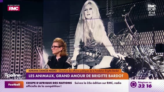 Brigitte Bardot, icône de la protection animale: "Elle a été moquée ...