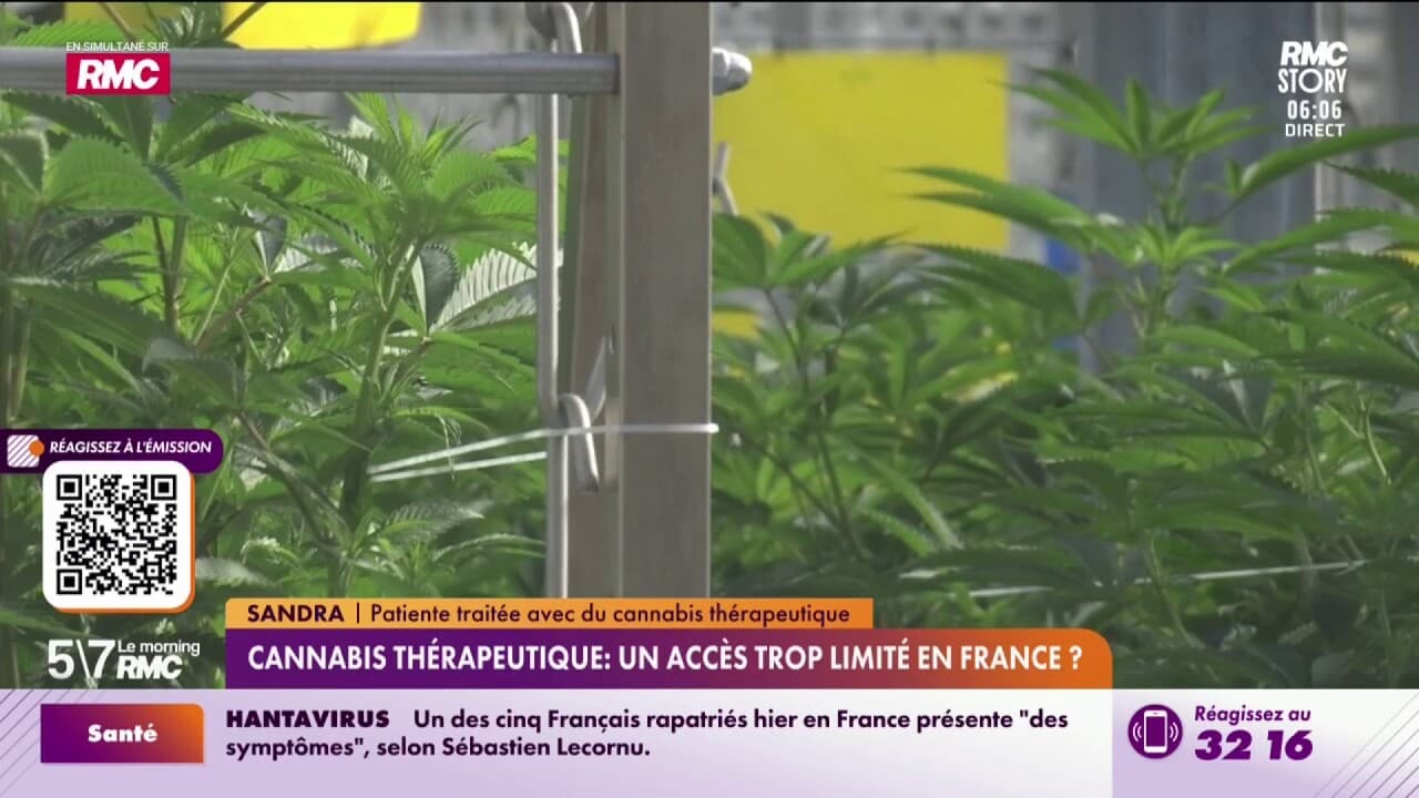Cannabis thérapeutique : Un accès trop limité en France