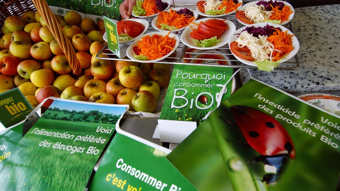 En France, il y a plus de cantines bio que de restaurants bio
