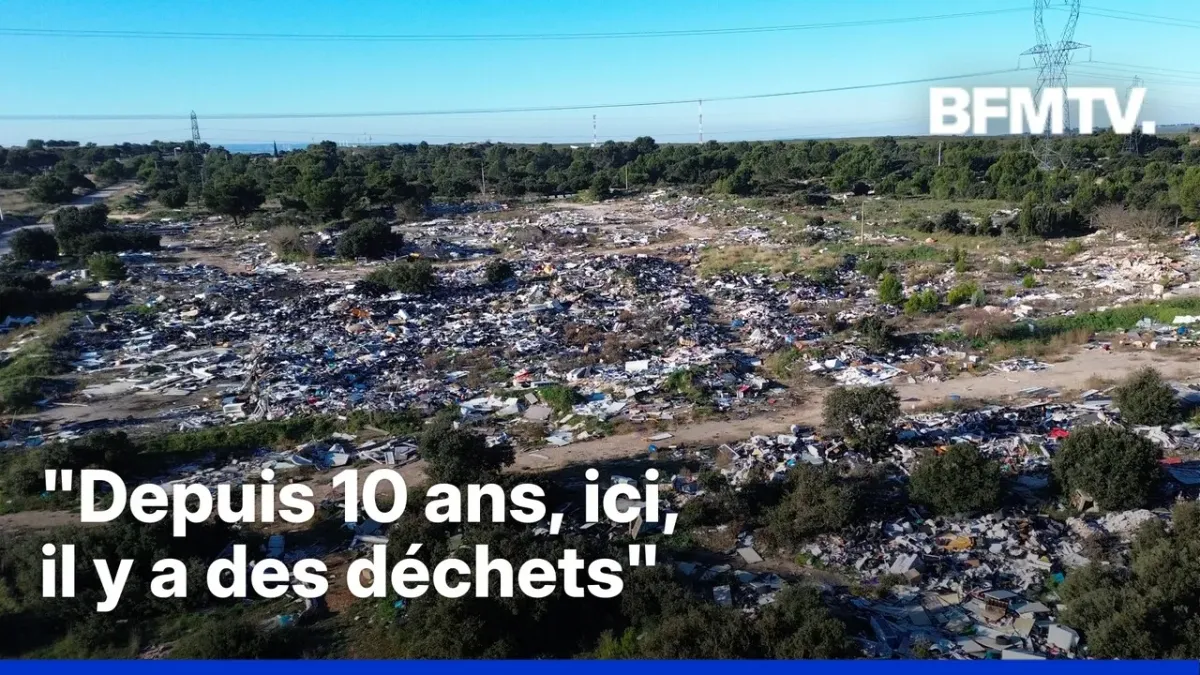 ROBIN DE BFM - Des déchets sauvages sur l’équivalent de 30 terrains de ...
