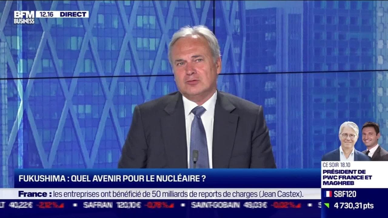 Dominique Louis (Assystem) : Fukushima, quel avenir pour le nucléaire ...