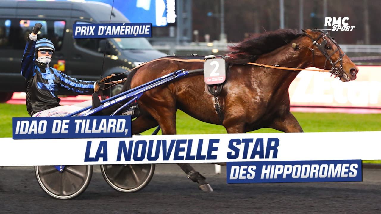 Prix d’Amérique : Idao de Tillard, la nouvelle star des hippodromes