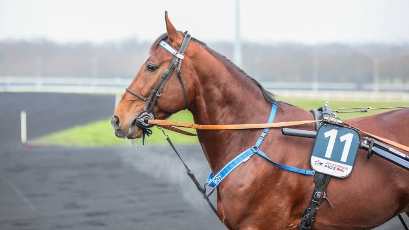 Prix de France Speed Race : Go On Boy sacré