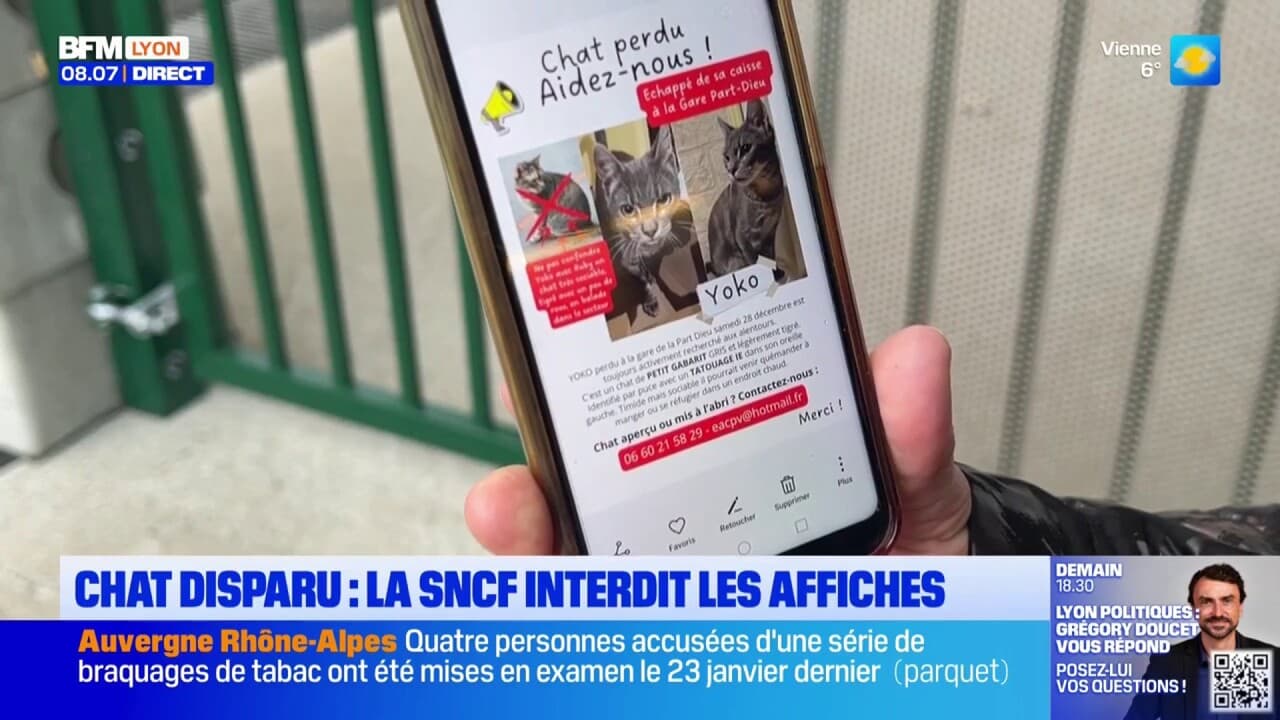 Lyon: une association demande la possibilité de poser des affiches dans ...
