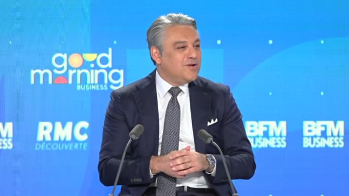 Luca de Meo (Renault): "on va avoir un effet produits très important ...