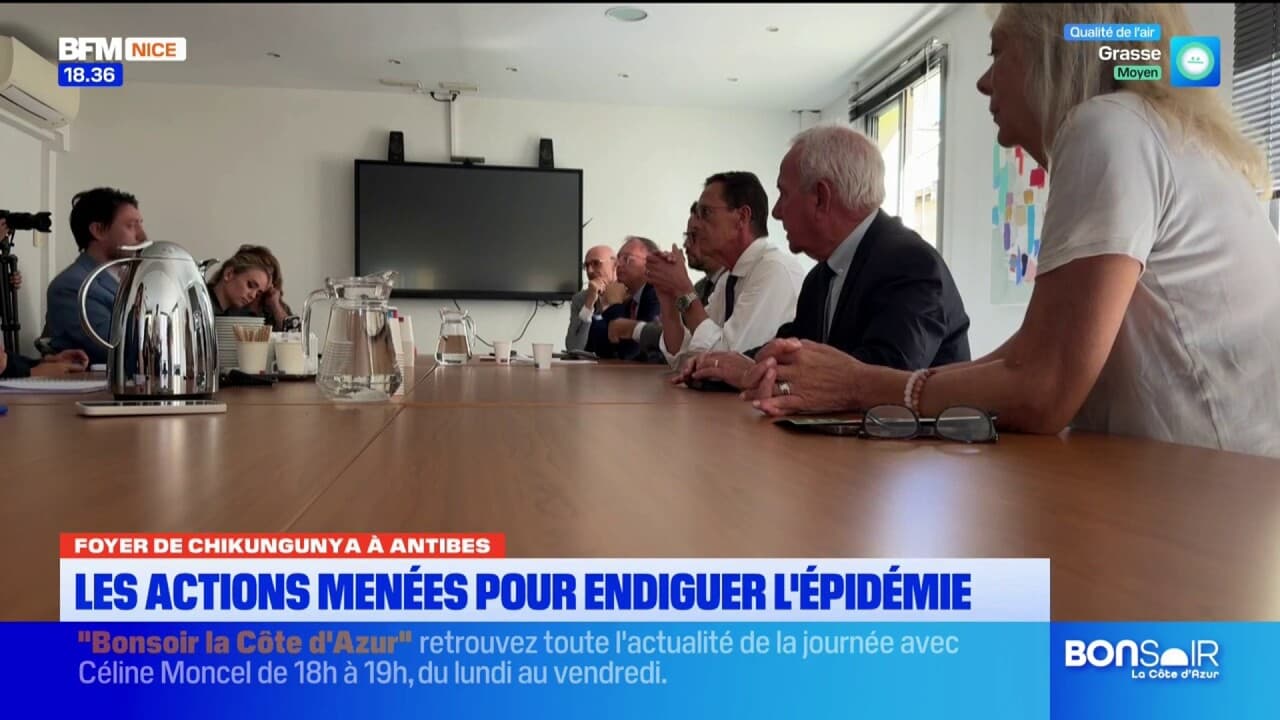 Foyer de chikungunya à Antibes : les actions menées pour endiguer l ...