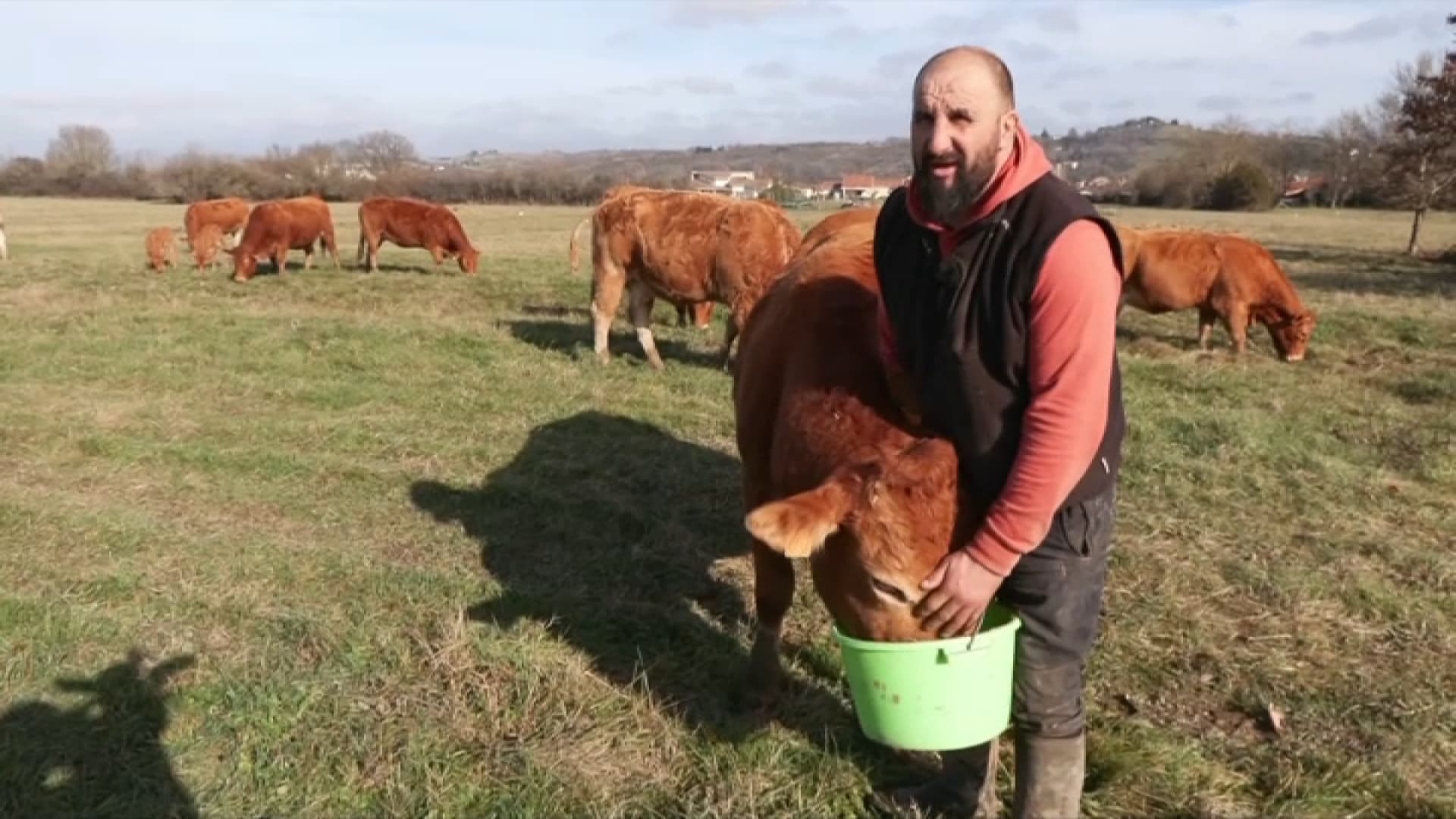 "Je ne voulais pas être le super-héros": de retour dans sa ferme ...