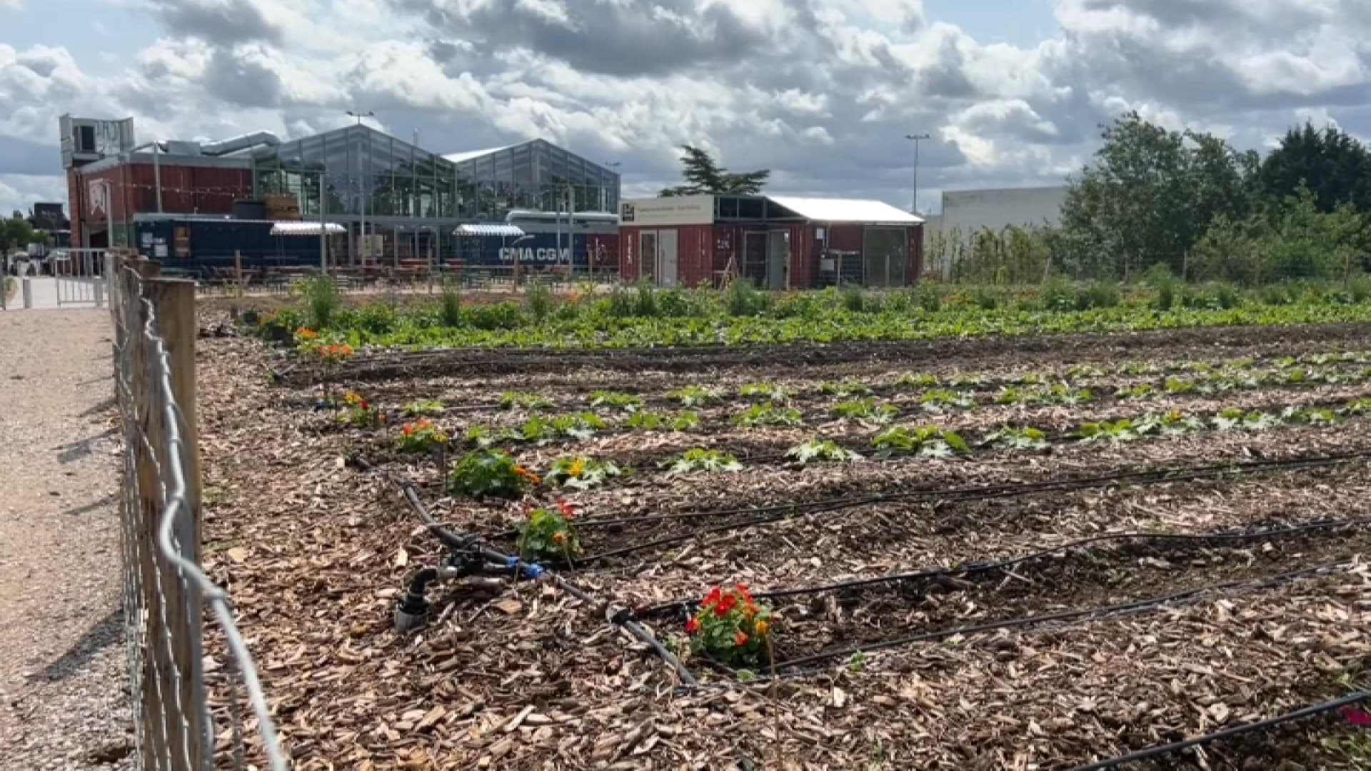 "Comme si on cuisinait avec le jardin": Le Cageot, un food court en ...
