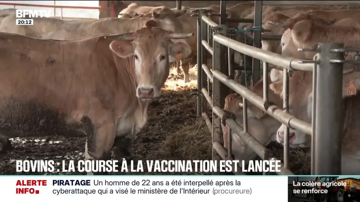 Colère des agriculteurs: près de 6 Français sur 10 approuvent les ...