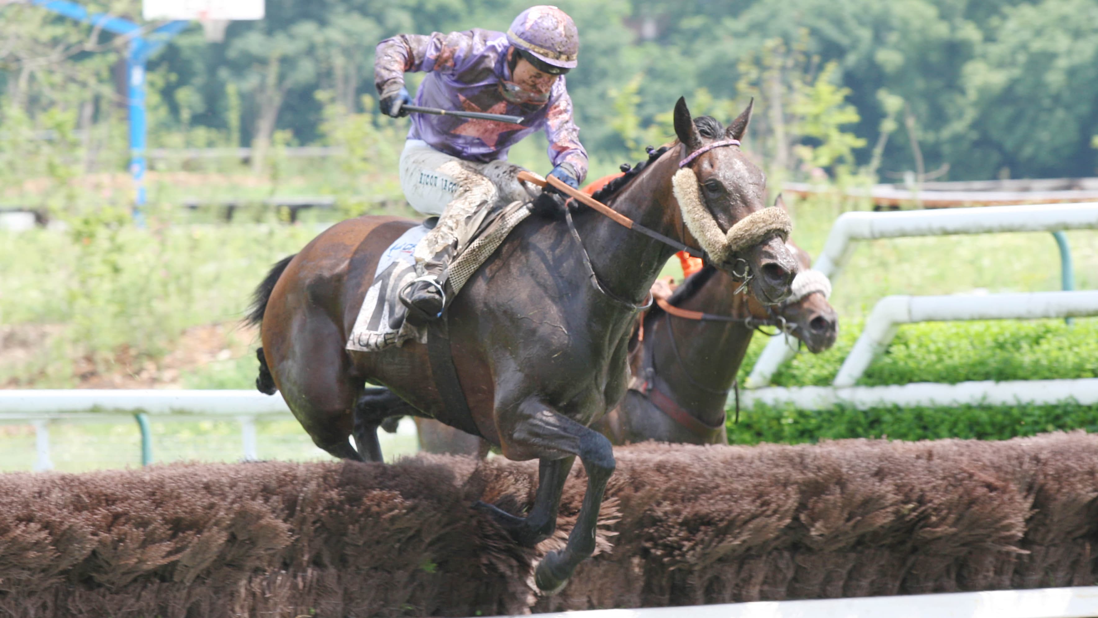 Jacques Ricou passe la vitesse supérieure