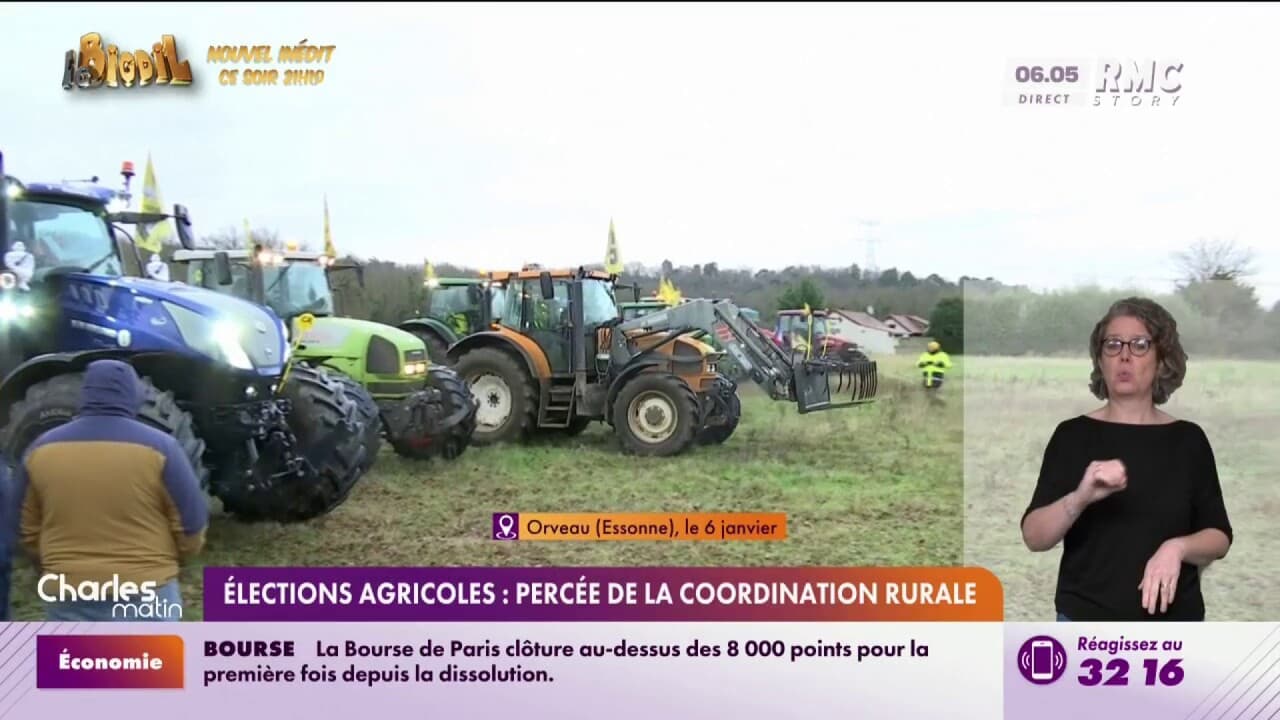Élections agricoles: la Coordination rurale progresse dans un paysage ...