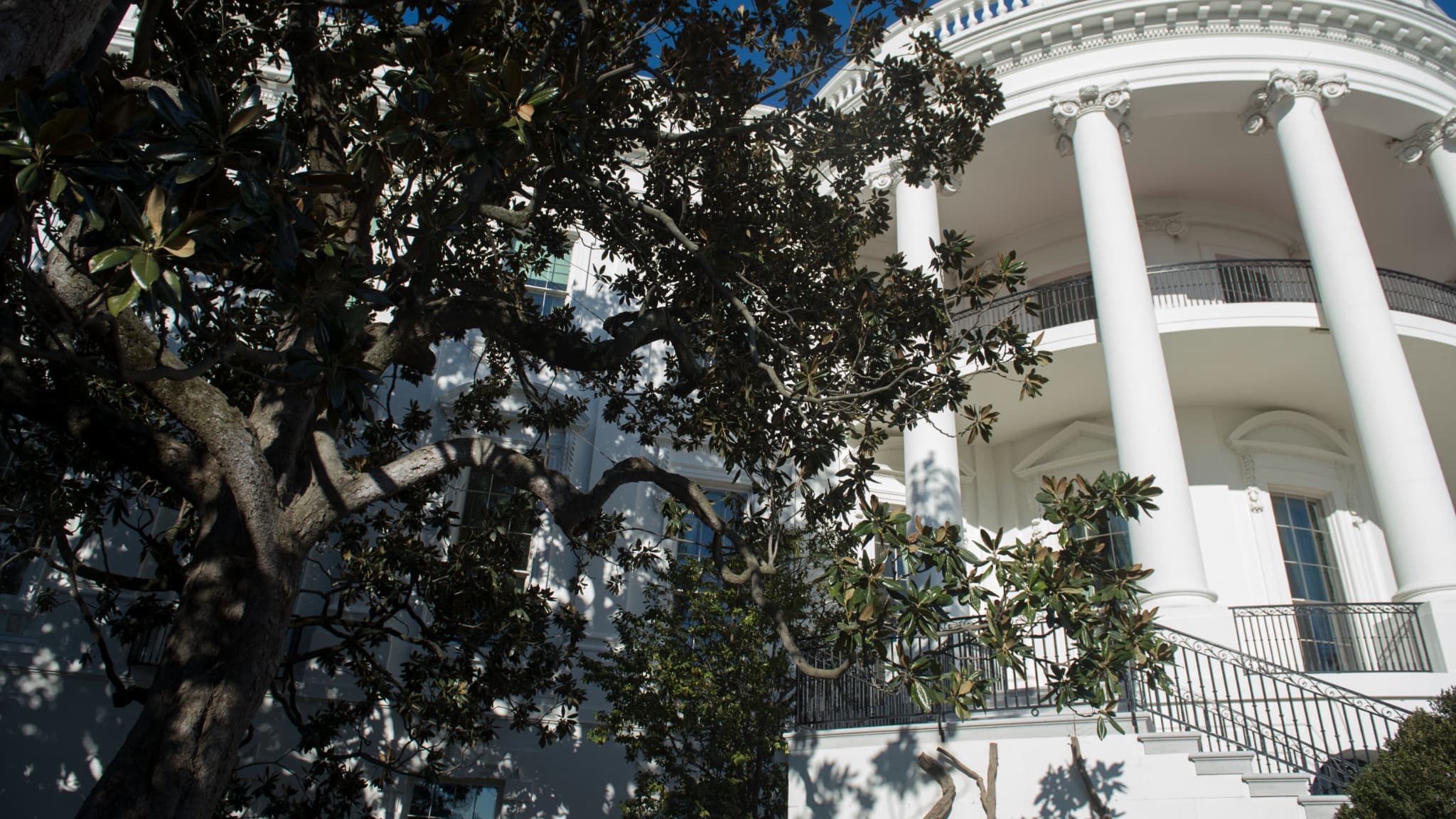 Le "Jackson magnolia" de la Maison Blanche, planté en 1829, va être abattu