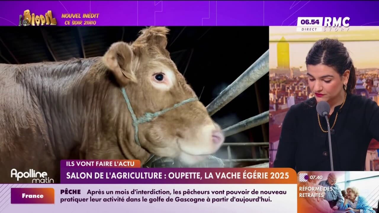 Salon de l'Agriculture : Oupette, la vache égérie 2025