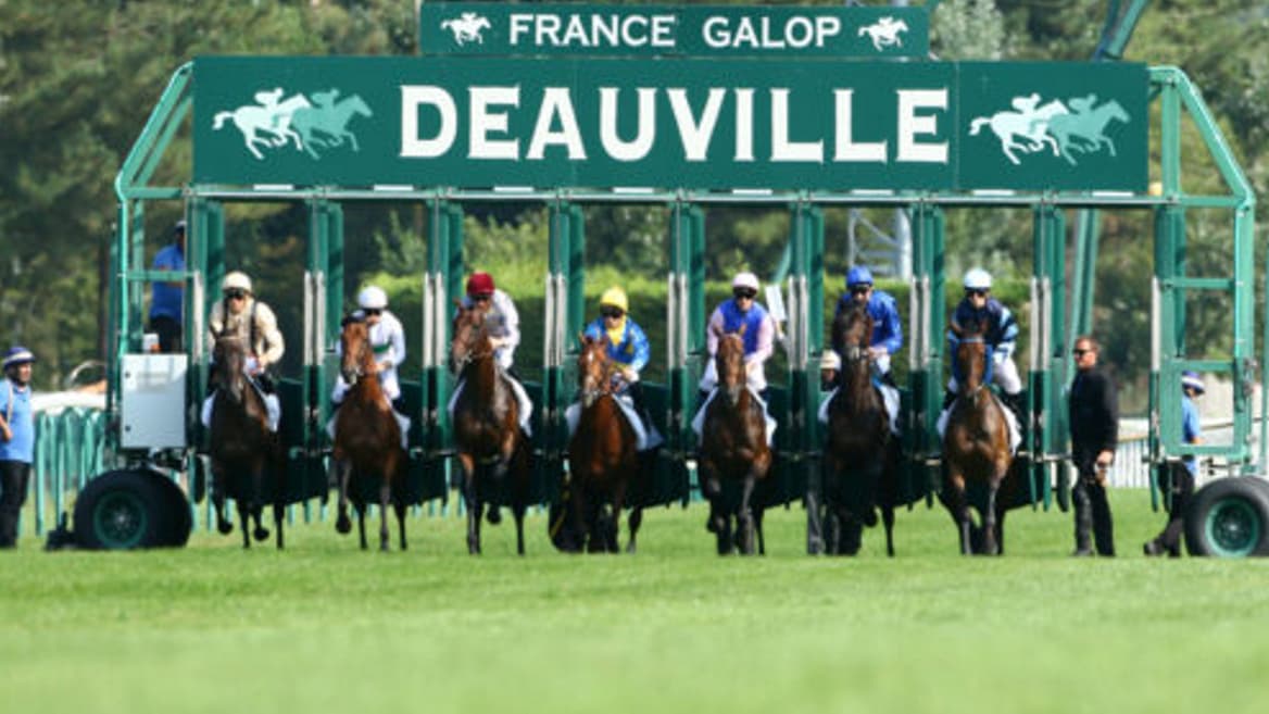 Les Pronos Hippiques Du Dimanche 7 Juillet 2024