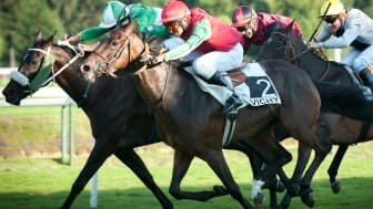 Les Pronos Hippiques Du Jeudi 18 Juillet 2024