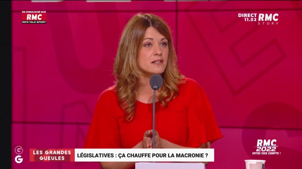 Maud Bregeon : "Je suis favorable à l'interdiction des moteurs ...
